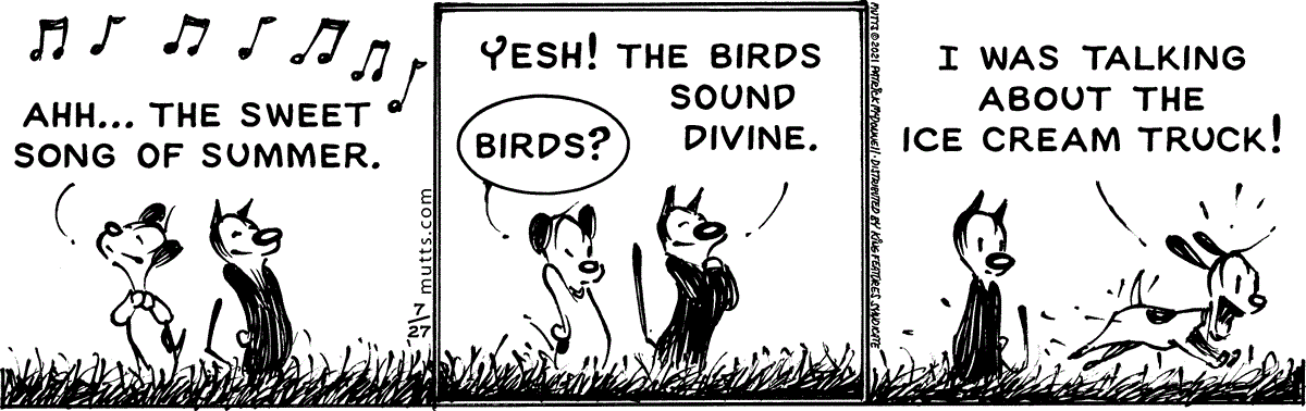 July 27 2021, Daily Comic Strip – MUTTS