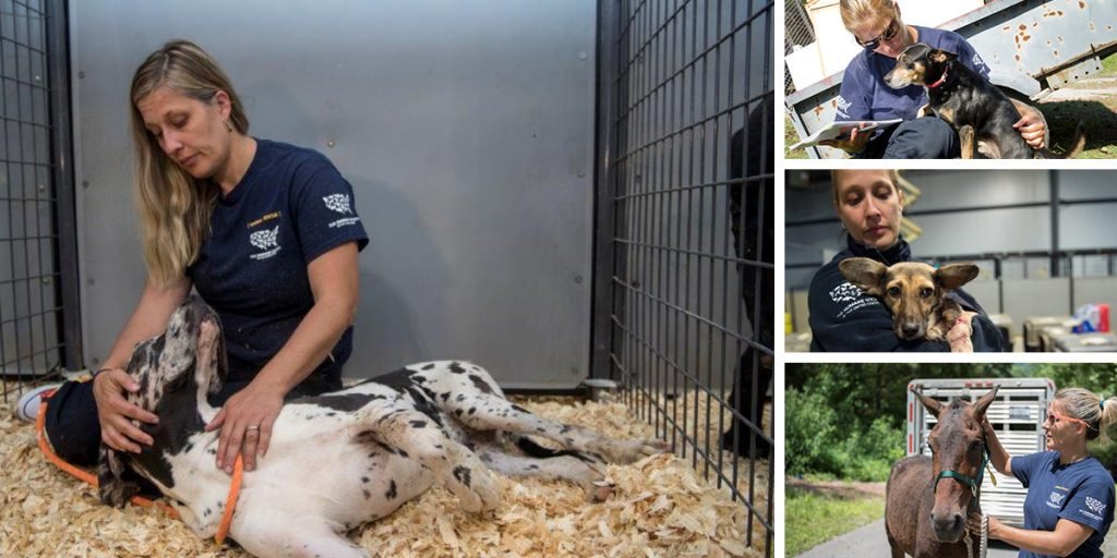 MUTTS Animal Heroes: Sára Varsa, Sr. Director of the HSUS’ Animal Resc