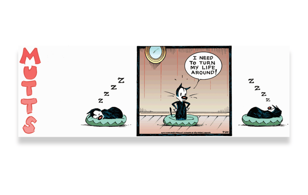Top 'Mooch' Comic Strips – MUTTS
