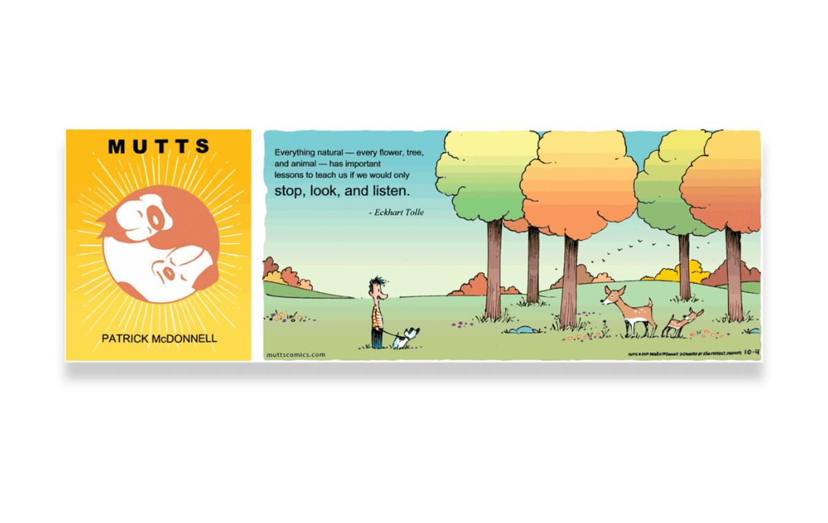 Top Comic Strips Featuring Quotes – MUTTS