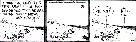 August 13 2025, Daily Comic Strip – MUTTS