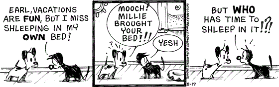 August 19 2025, Daily Comic Strip – MUTTS