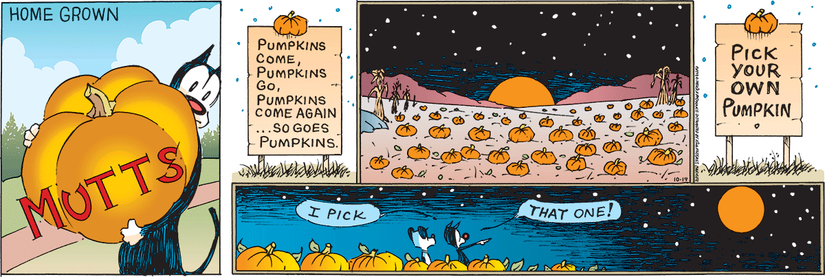 October 19 2025, Sunday Comic Strip – MUTTS