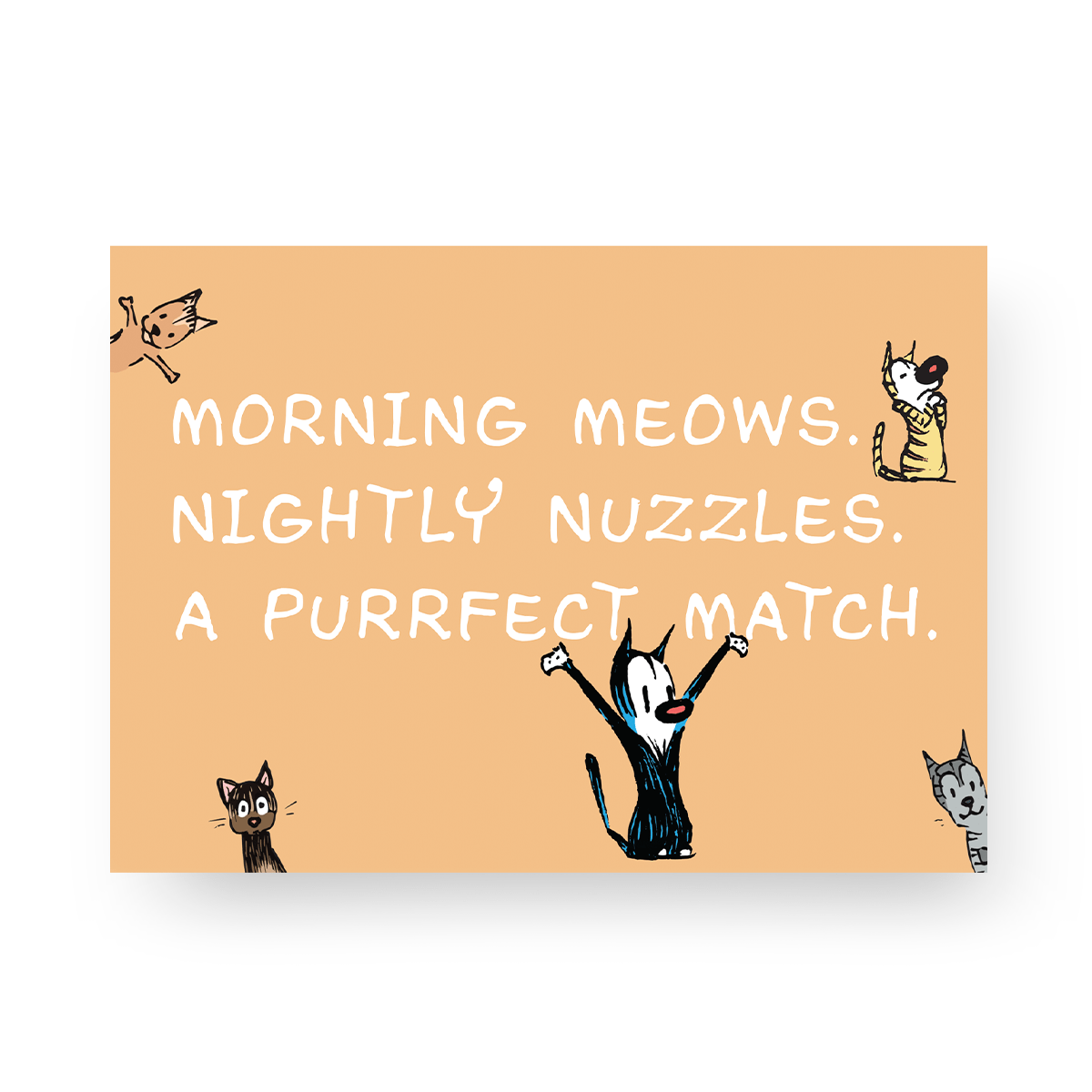 Gotcha Day Greeting Card (for Cat Adopters) – MUTTS