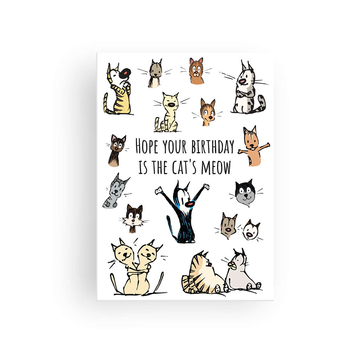 'The Cat's Meow' Birthday Card – MUTTS