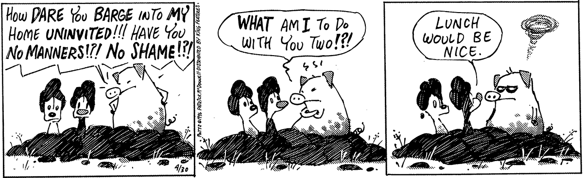 April 30 1996, Daily Comic Strip – MUTTS