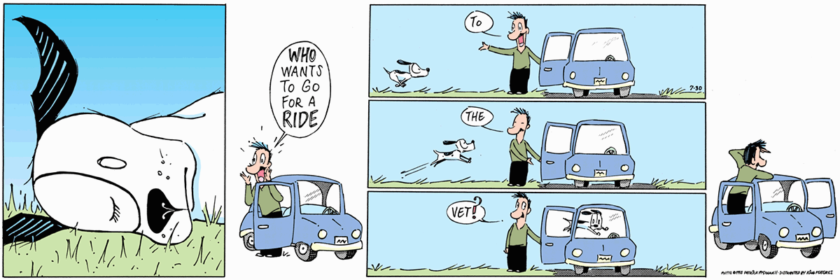 July 30 1995, Sunday Comic Strip – MUTTS