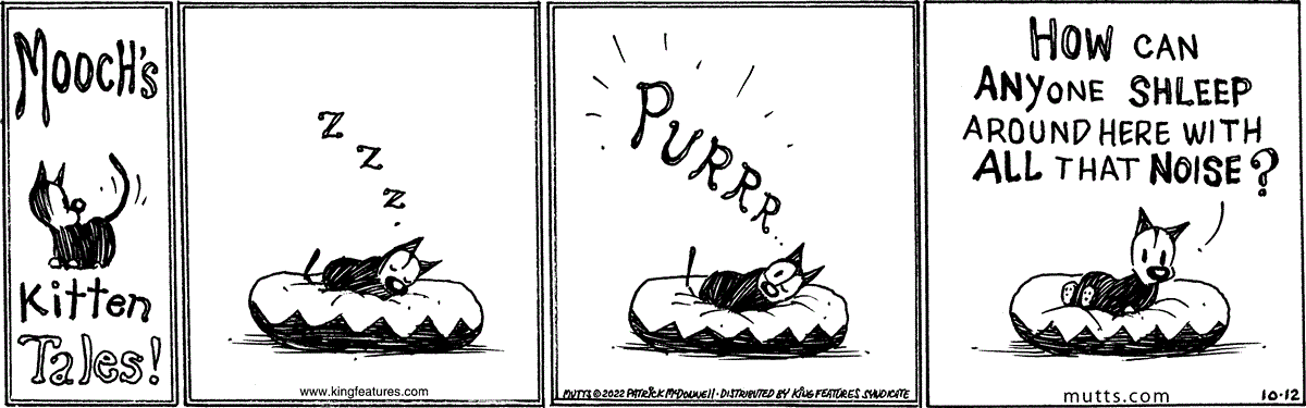 October 12 2022, Daily Comic Strip – MUTTS