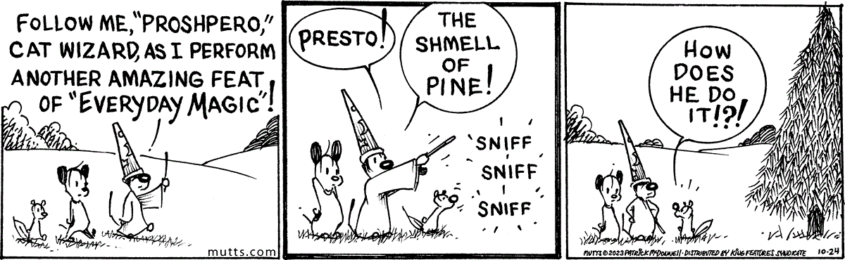 October 24 2023, Daily Comic Strip – MUTTS