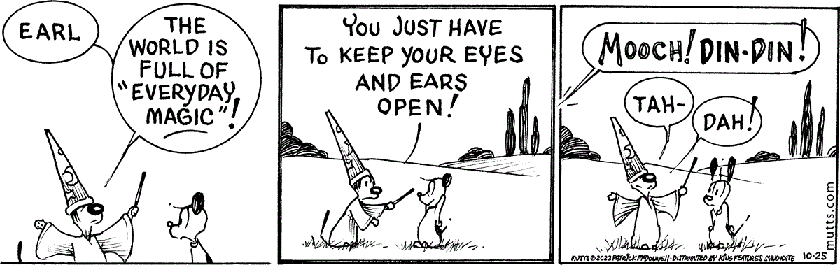 October 25 2023, Daily Comic Strip – MUTTS