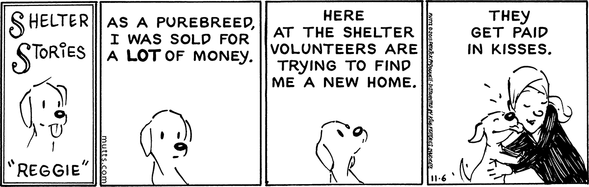 November 6 2015, Daily Comic Strip – MUTTS