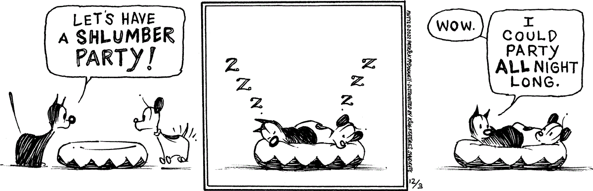 December 3 2022, Daily Comic Strip – MUTTS